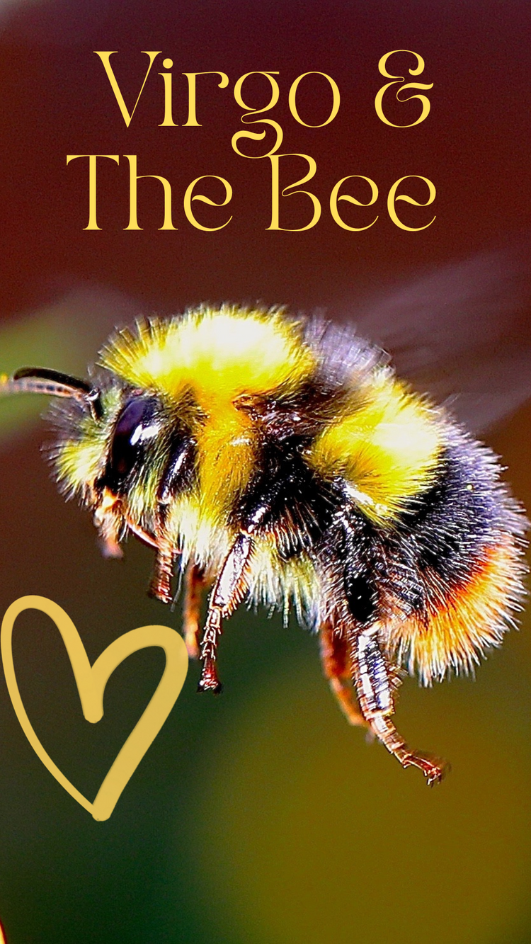 Spirit Animal Series: Bee & Virgo Crystal Connection | Bohemian Harmony ...